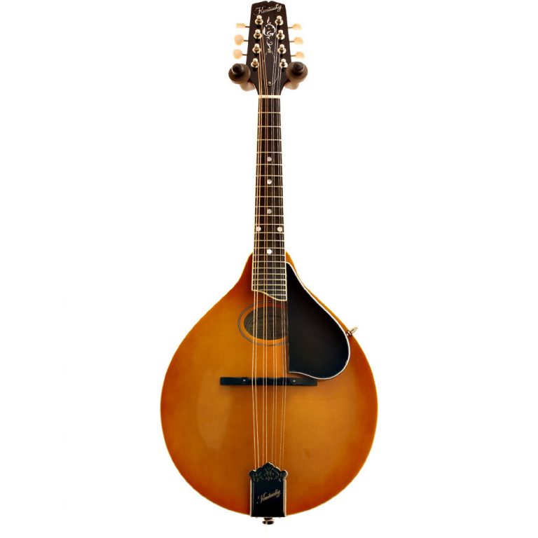 Best Mandolin For Beginners [Reviews And Buying Guide In 2021 ...